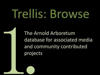 Trellis | PPT