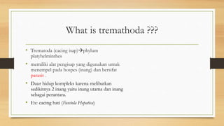 Trematoda | PPTX