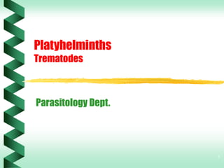 Trematoda | PPT