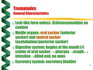 Trematoda | PPT