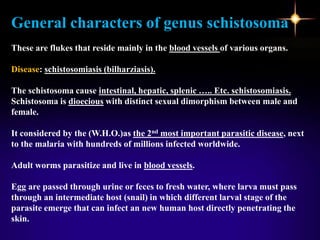 Powerpoint presentation for Trematoda.pdf