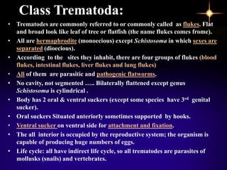 Powerpoint presentation for Trematoda.pdf