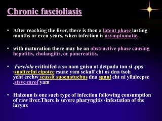 Powerpoint presentation for Trematoda.pdf