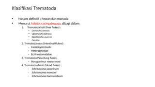 Trematoda Parasit dalam bentuk ppt, semoga bermanfaat | PPTX