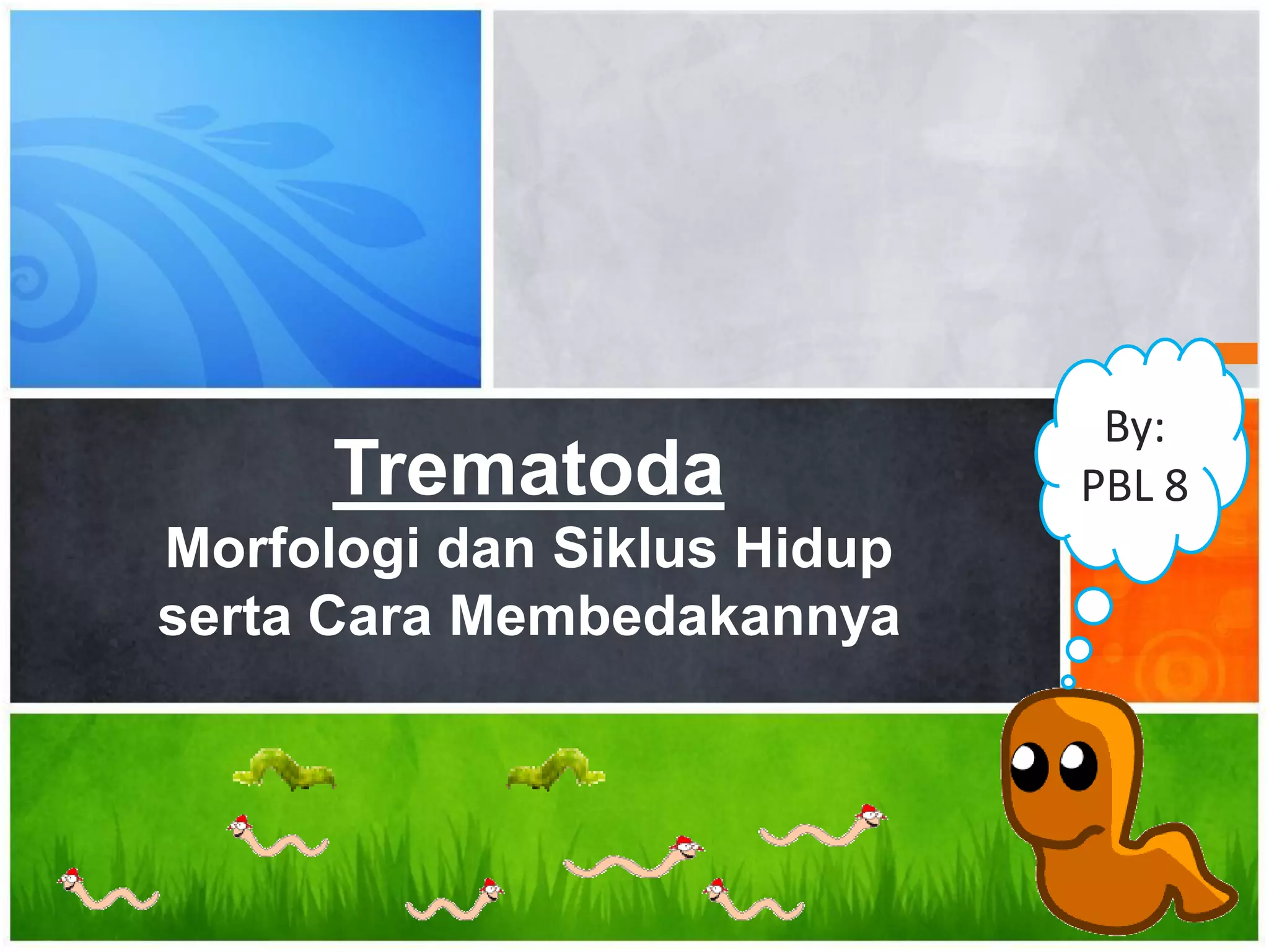 Trematoda pbl8 | PDF