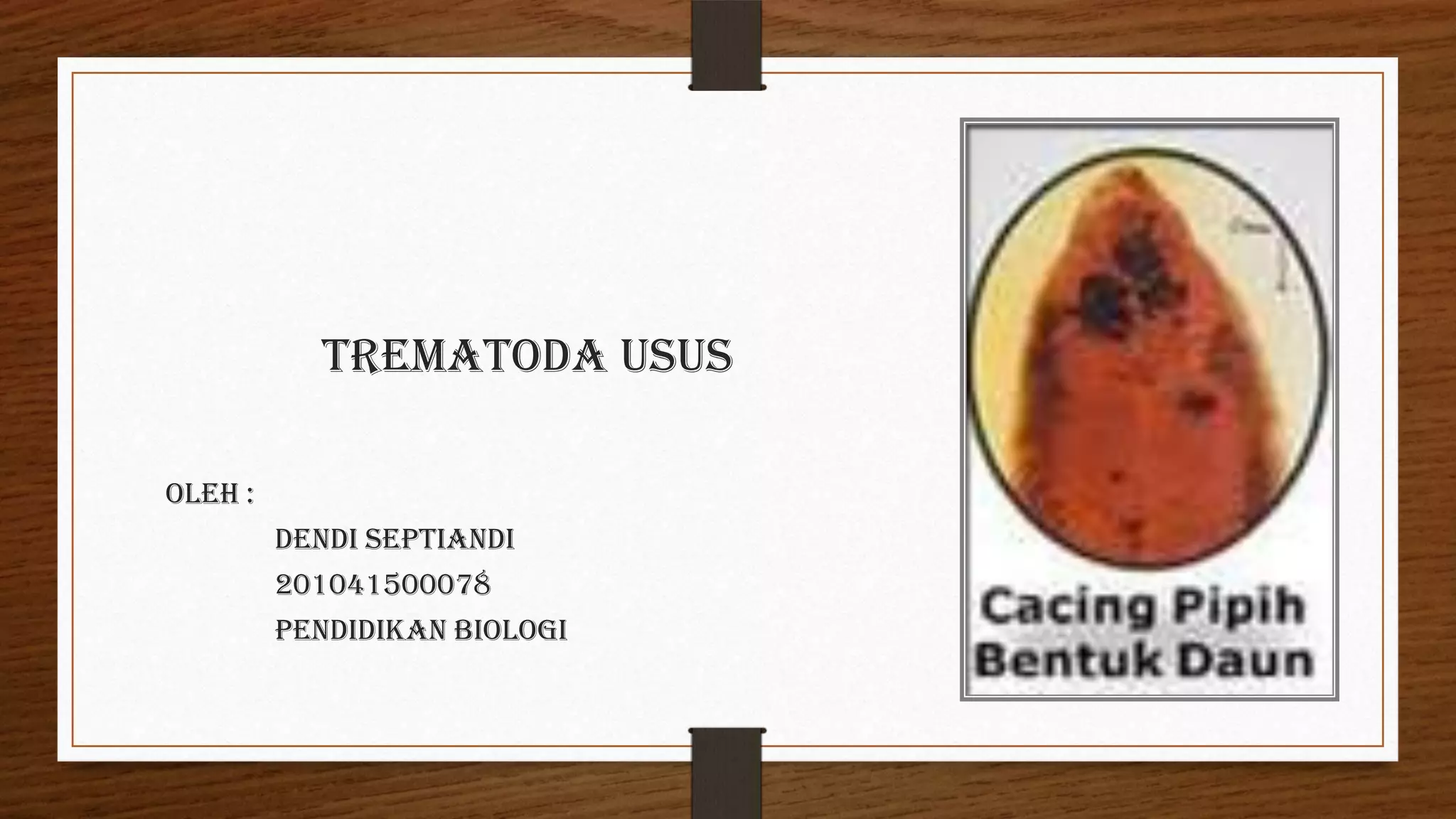 Trematoda usus | PPTX