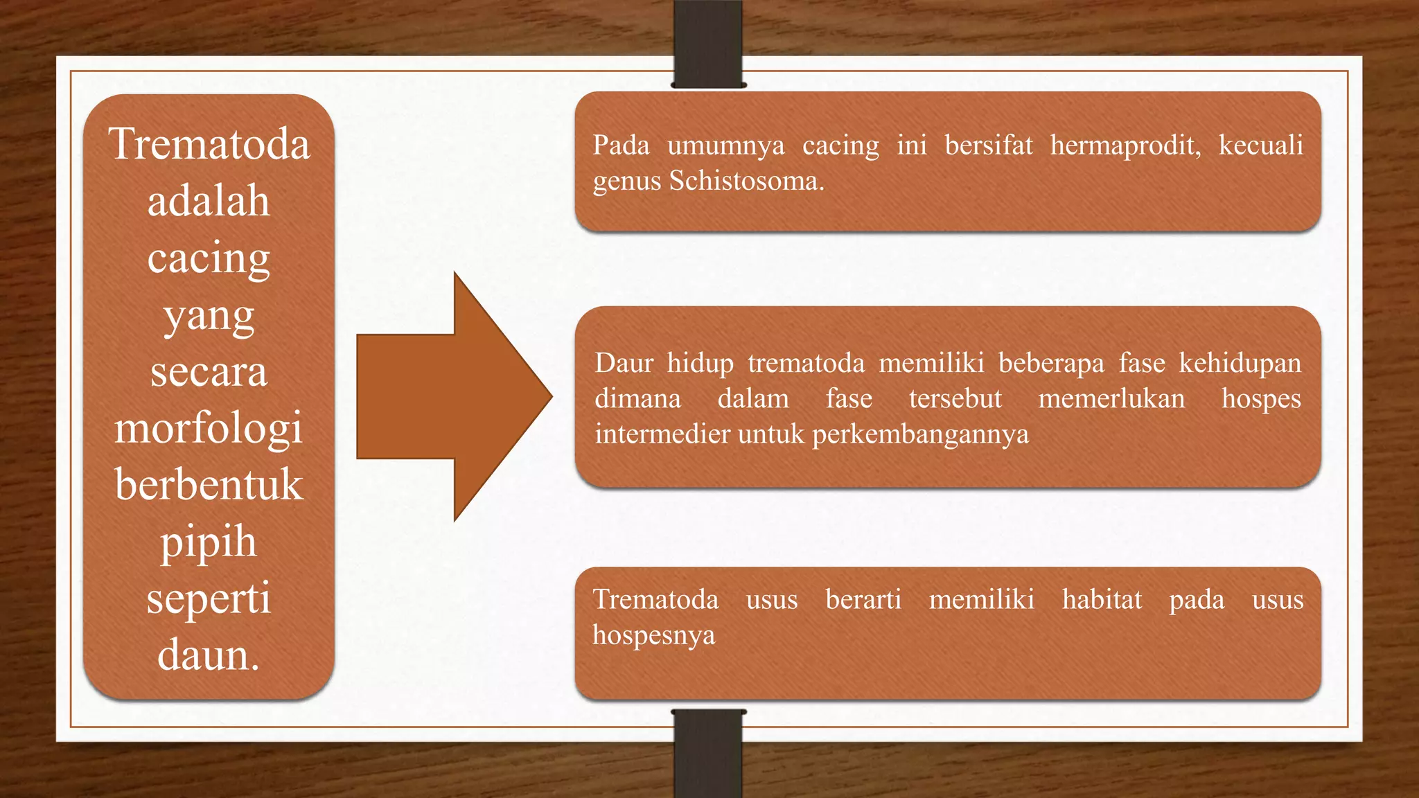 Trematoda usus | PPTX