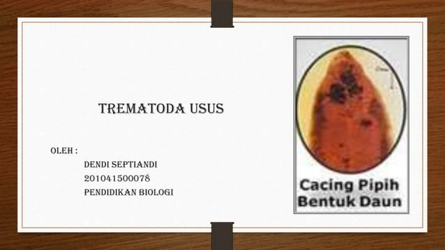 Trematoda usus | PPTX