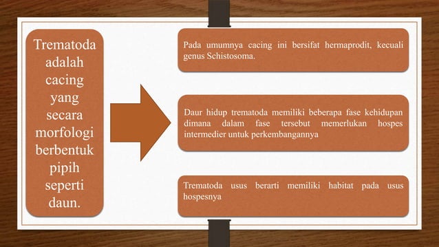 Trematoda usus | PPTX