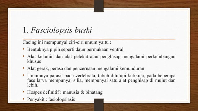 Trematoda usus | PPTX