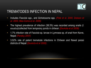 Trematode infections | PPTX