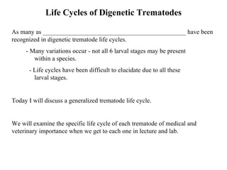 Trematode Life Cycle