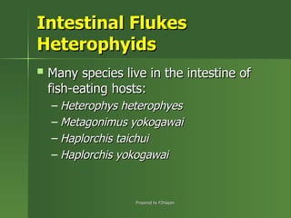 Classifications of trematodes and its epidemiology | PPT