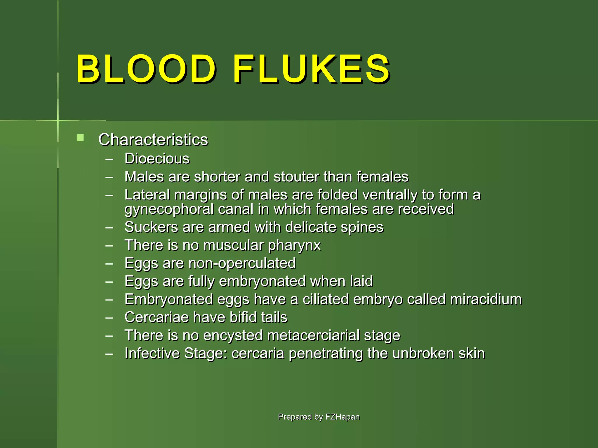 Trematodes | PPT
