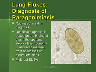 Trematodes | PPT