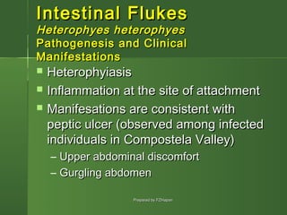 Trematodes | PPT
