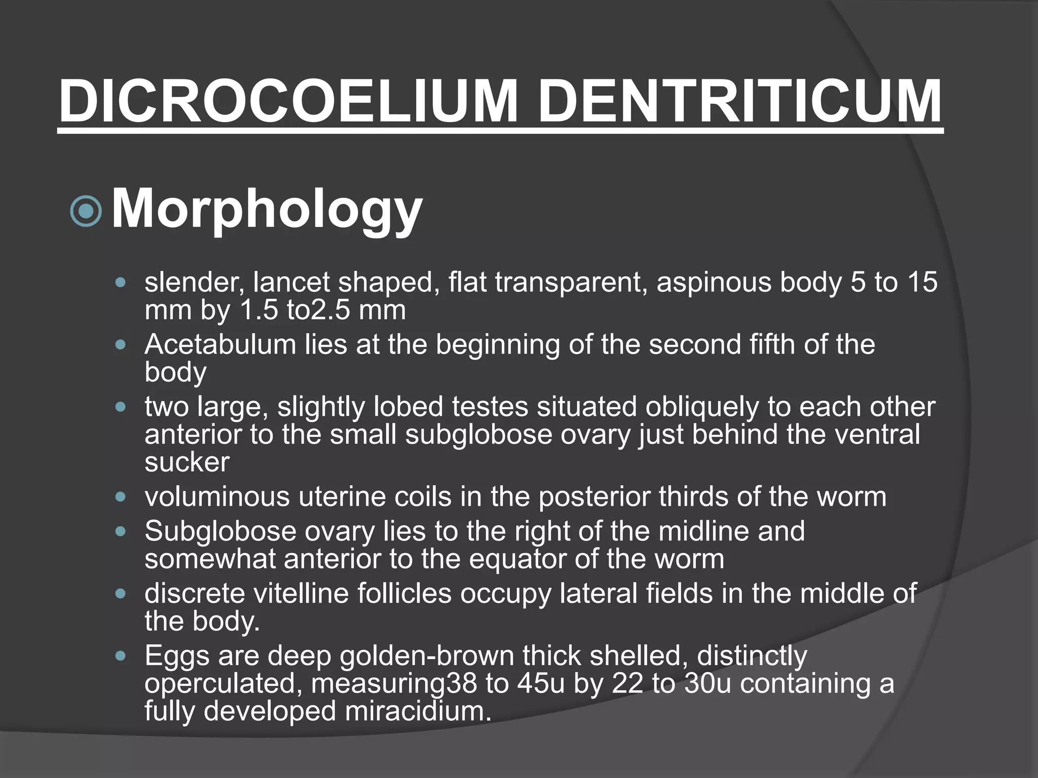 Trematodes:FLUKES | PPTX