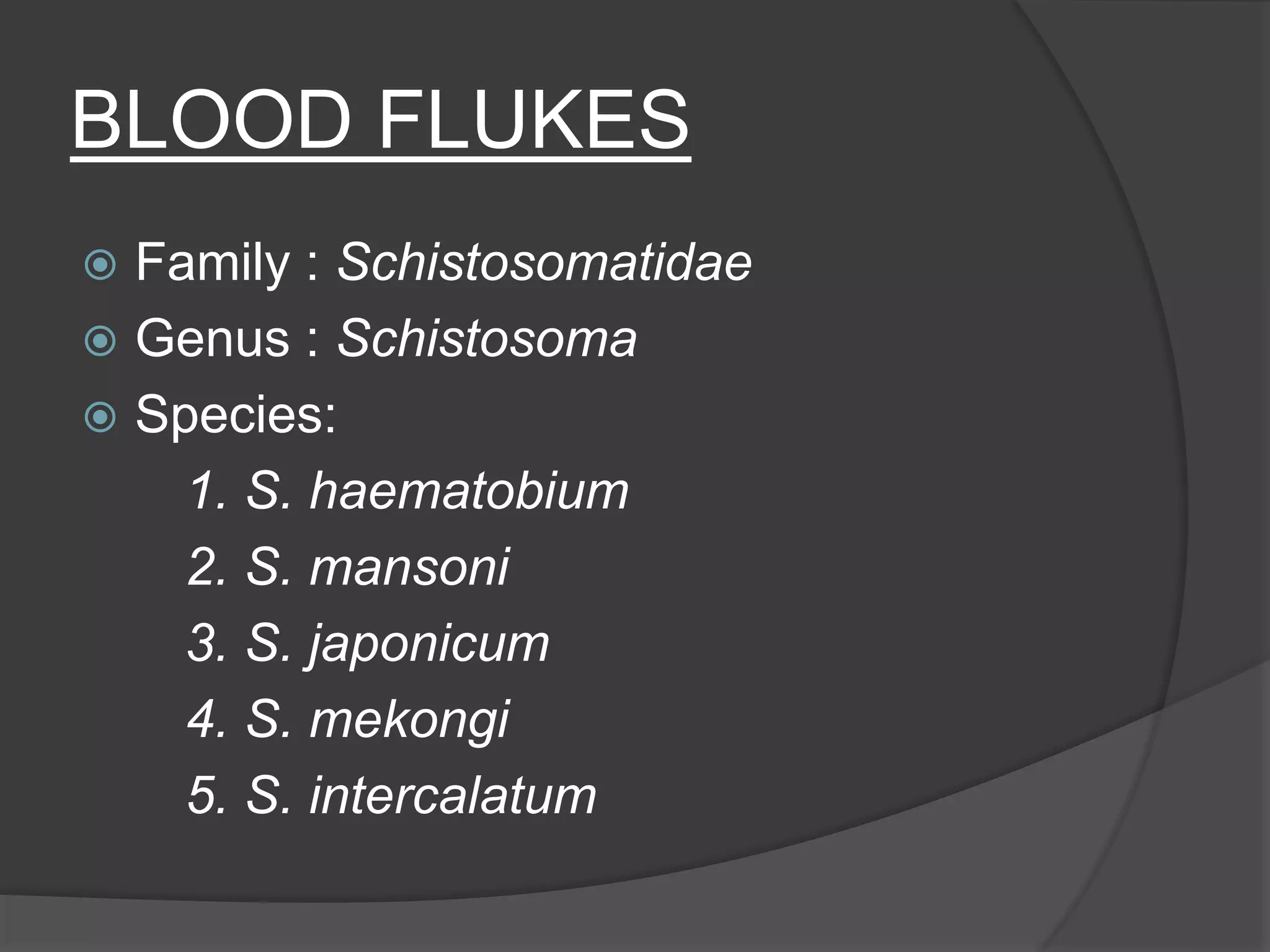 Trematodes:FLUKES | PPTX