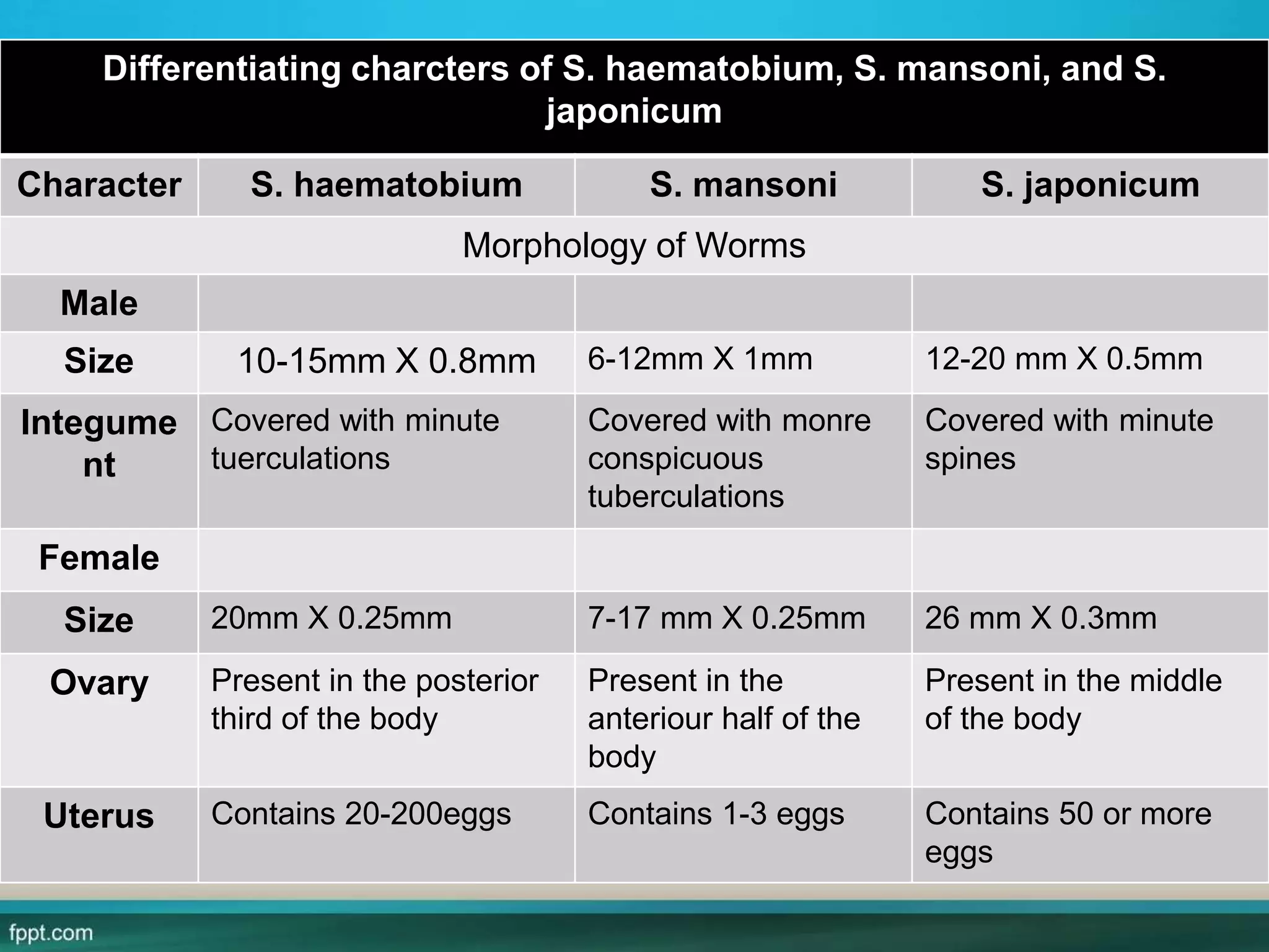 Trematodes by Dr. Rakesh Prasad Sah | PPTX