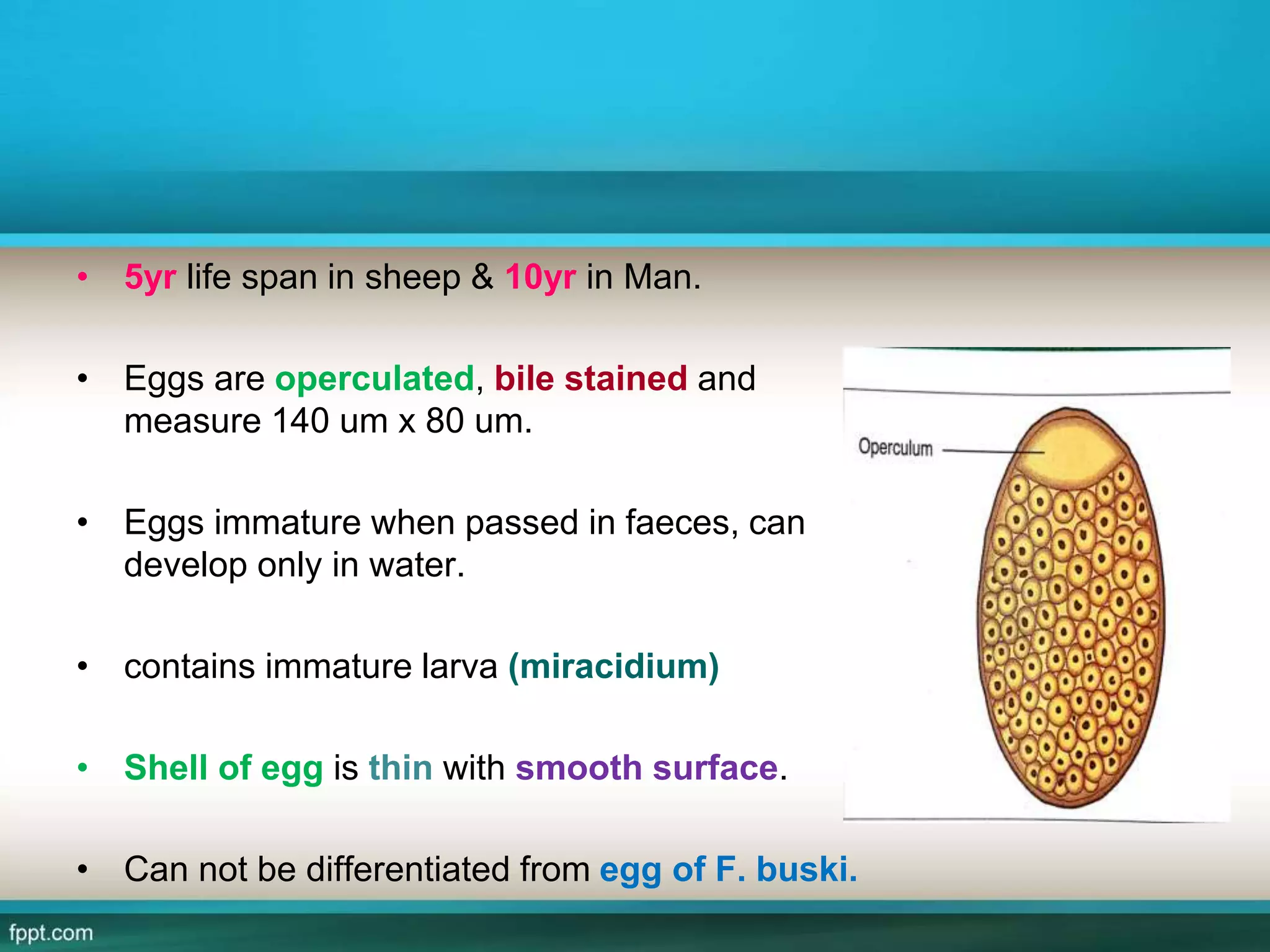 Trematodes by Dr. Rakesh Prasad Sah | PPTX
