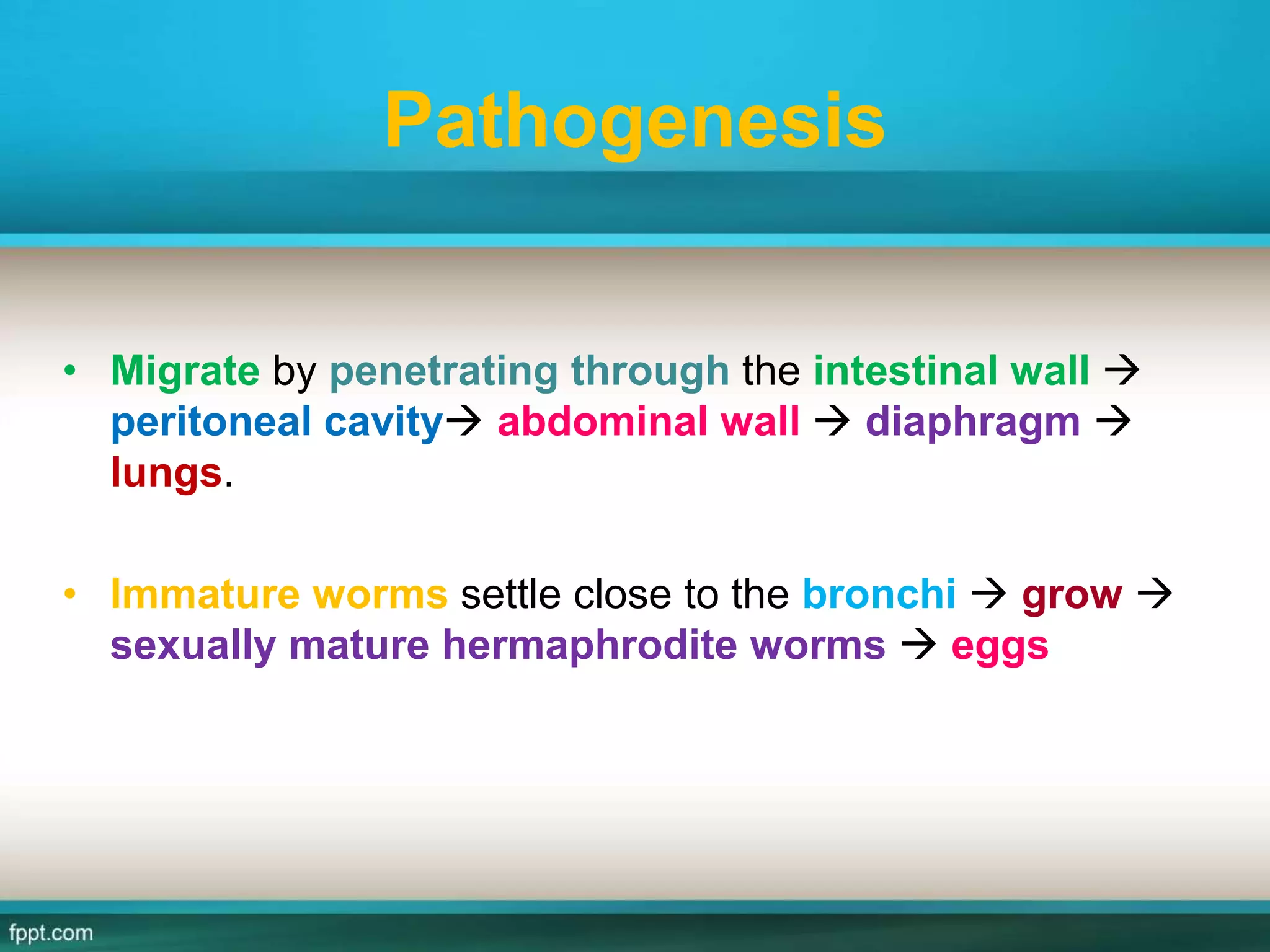 Trematodes by Dr. Rakesh Prasad Sah | PPTX
