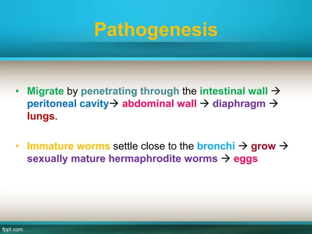 Trematodes by Dr. Rakesh Prasad Sah | PPTX