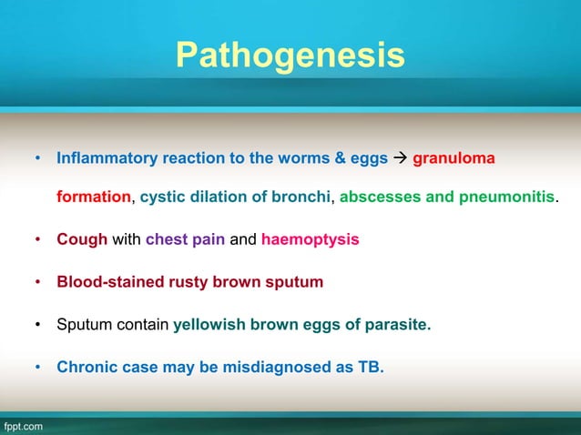 Trematodes by Dr. Rakesh Prasad Sah | PPTX