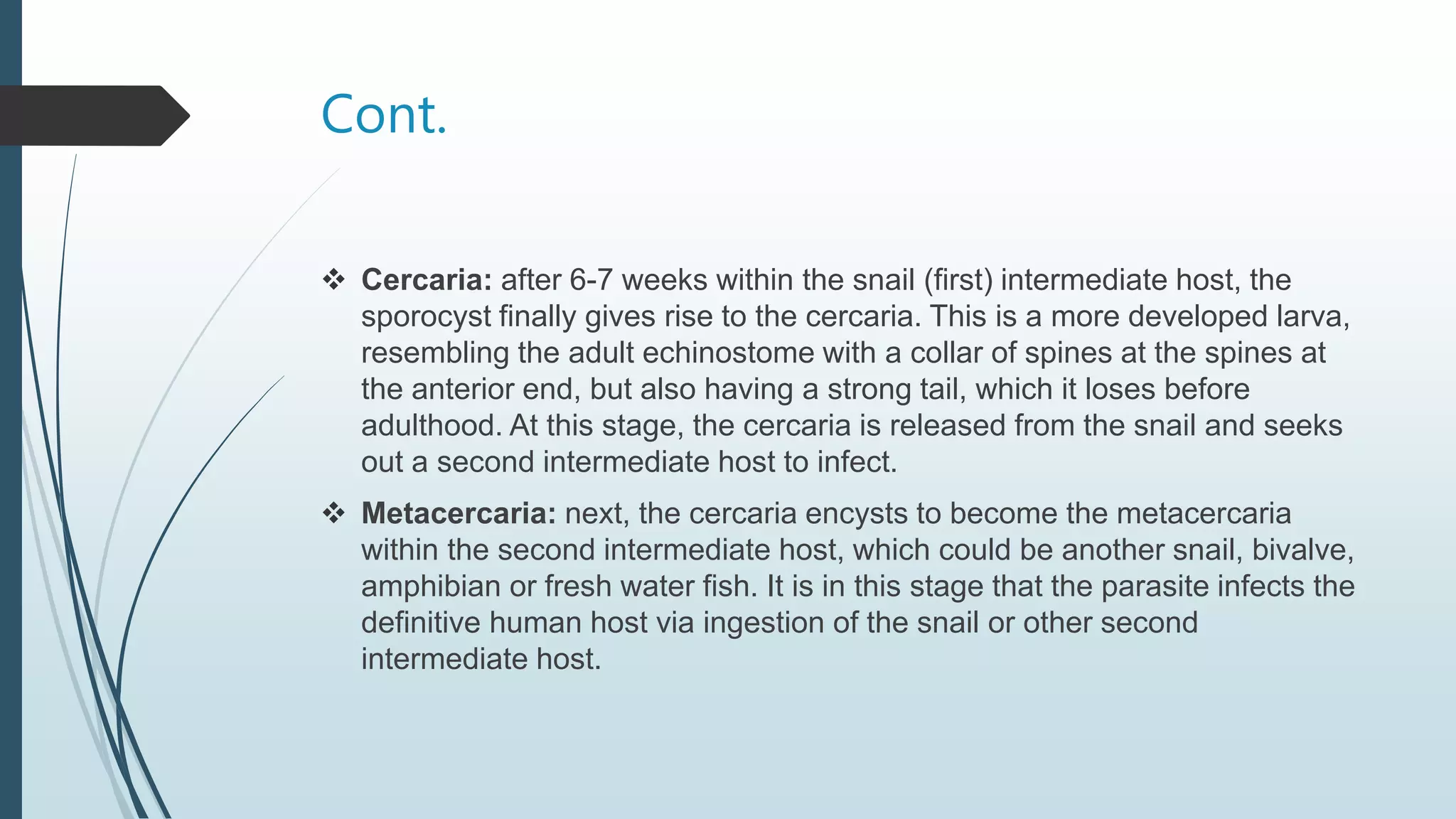 TREMATODES.pptx