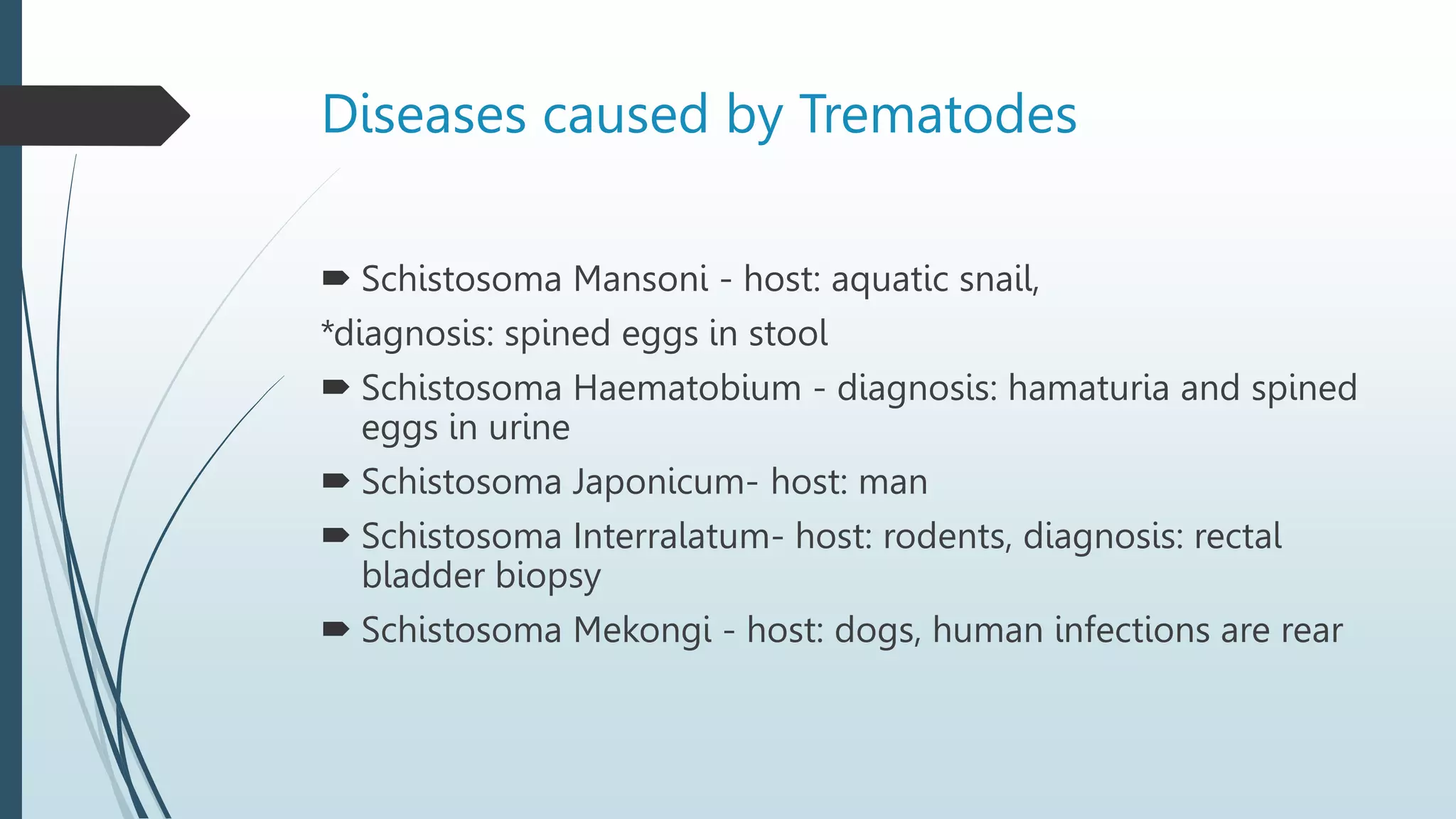 TREMATODES.pptx