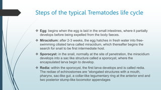 TREMATODES.pptx