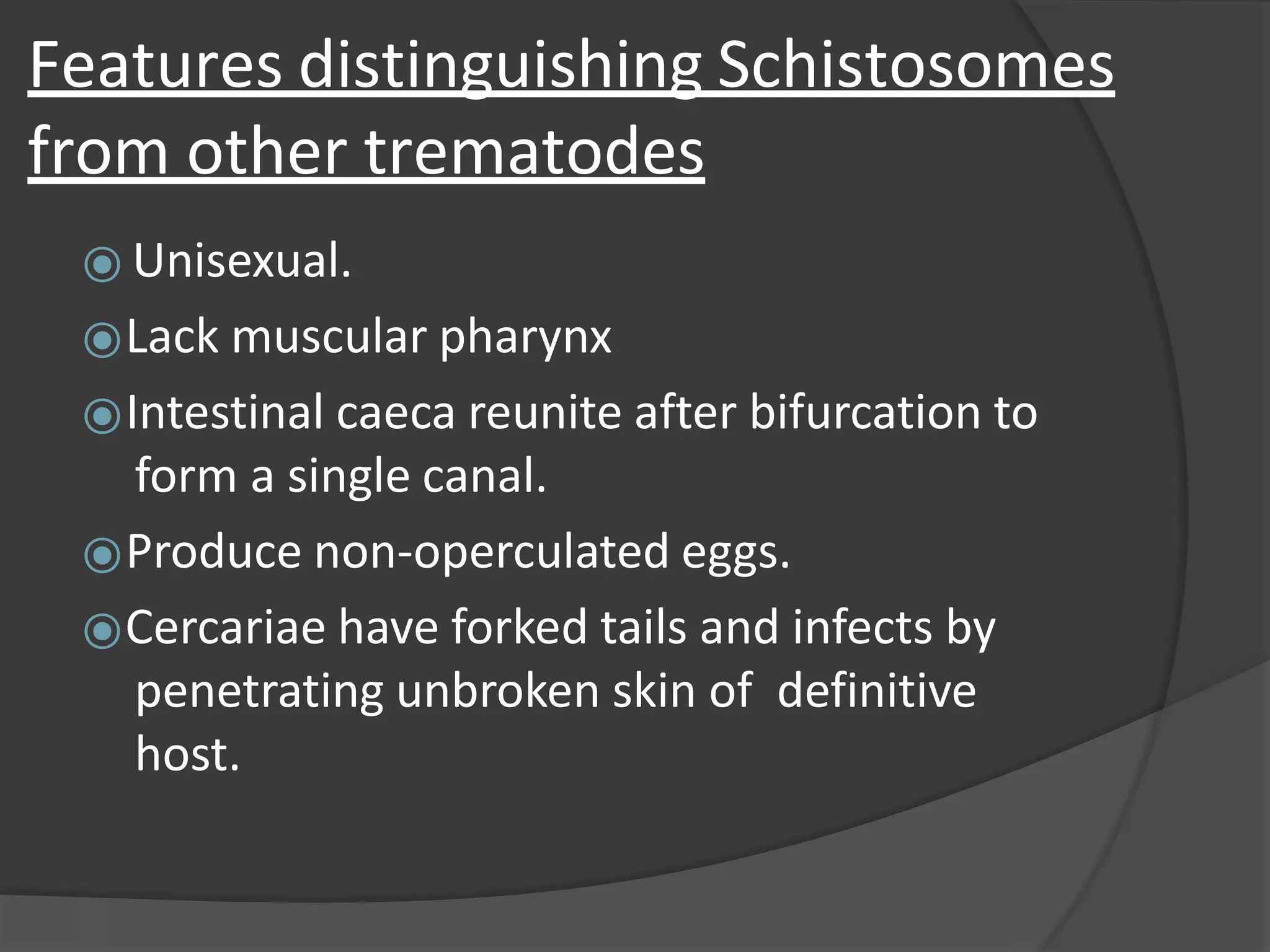 trematodes.pptx