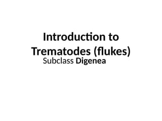 Trematodes.pptx trematodes detail explanation | PPTX