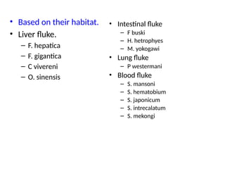 Trematodes.pptx trematodes detail explanation | PPTX