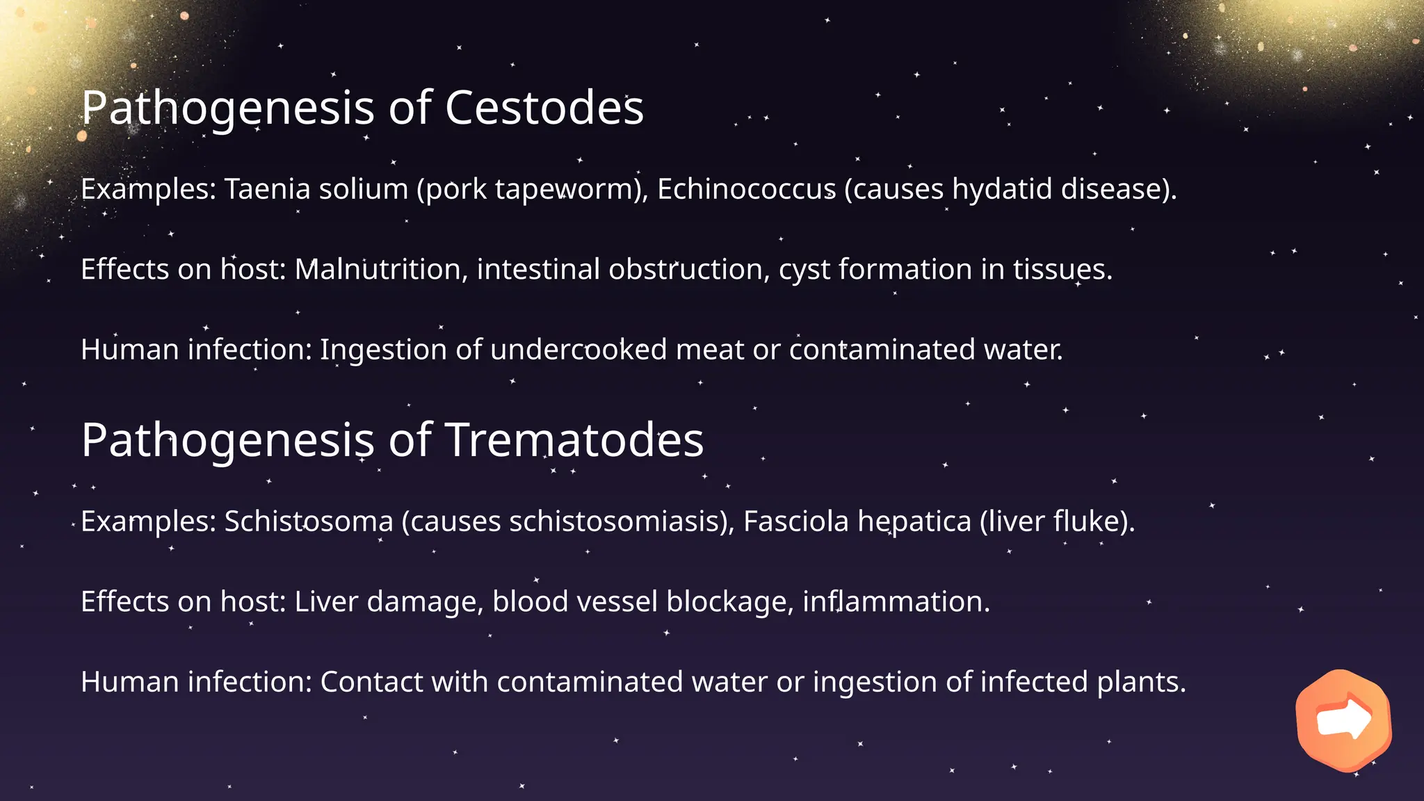 trematodes and cestods STRUCTURAL FEATURES C | PPTX