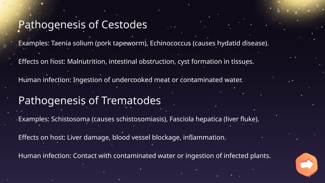 trematodes and cestods STRUCTURAL FEATURES C | PPT