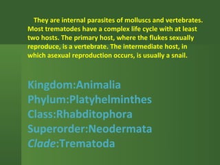 Trematodes | PPTX