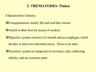 Trematodes MW.ppt