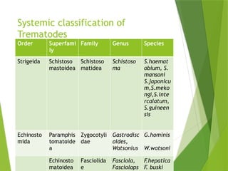 TREMATODES OF MEDICAL IMPORTANCE - Copy.pptx