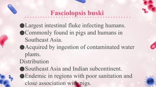 Trematodes of medical importance (1).pptx