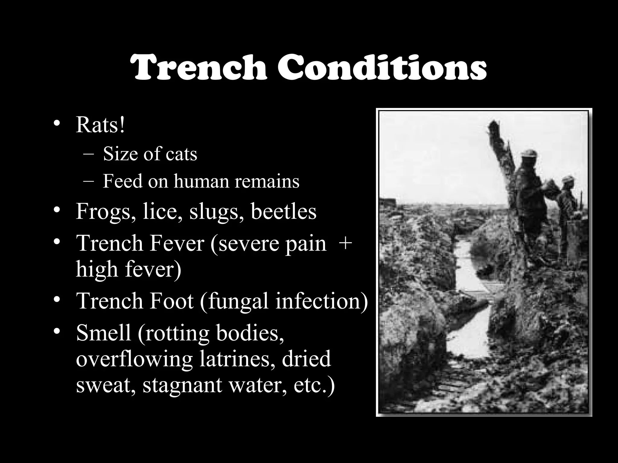 WWI Trench Life | PPT | Death, Injury, or Military Conflict | Sensitive ...