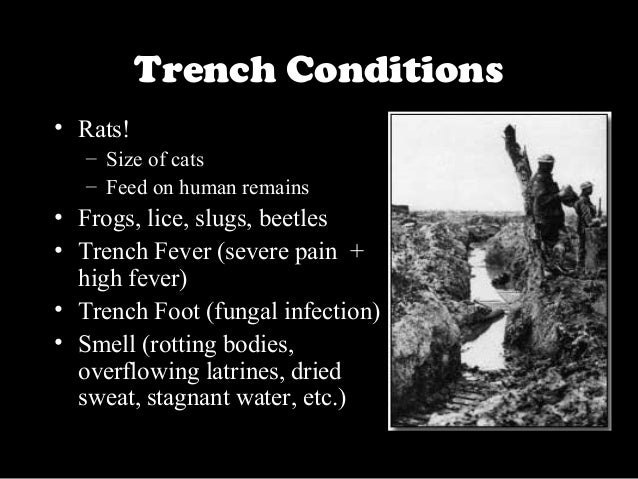 WWI Trench Life