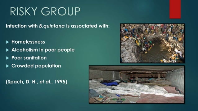 Trench fever | PPTX | Infectious Diseases | Diseases and Conditions