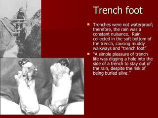 Trench Warfare in WWI | PPT