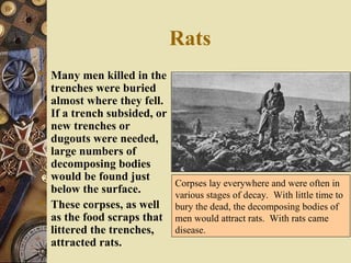 WW1 trench warfare powerpoint describing conditions in the trenches | PPT