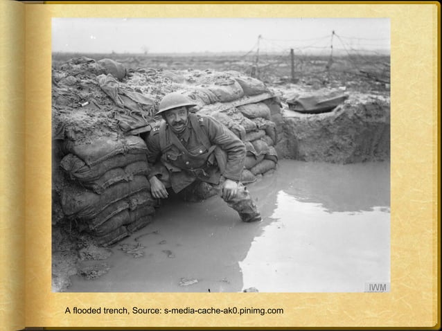 Trench Warfare PPT | PDF | Death, Injury, or Military Conflict ...