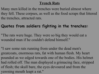 Trench Warfare & Technology in WWI | PPT