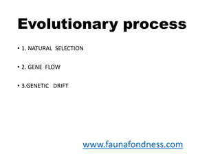 Trends in evolution by faunafondness | PPTX | Biological Sciences | Science