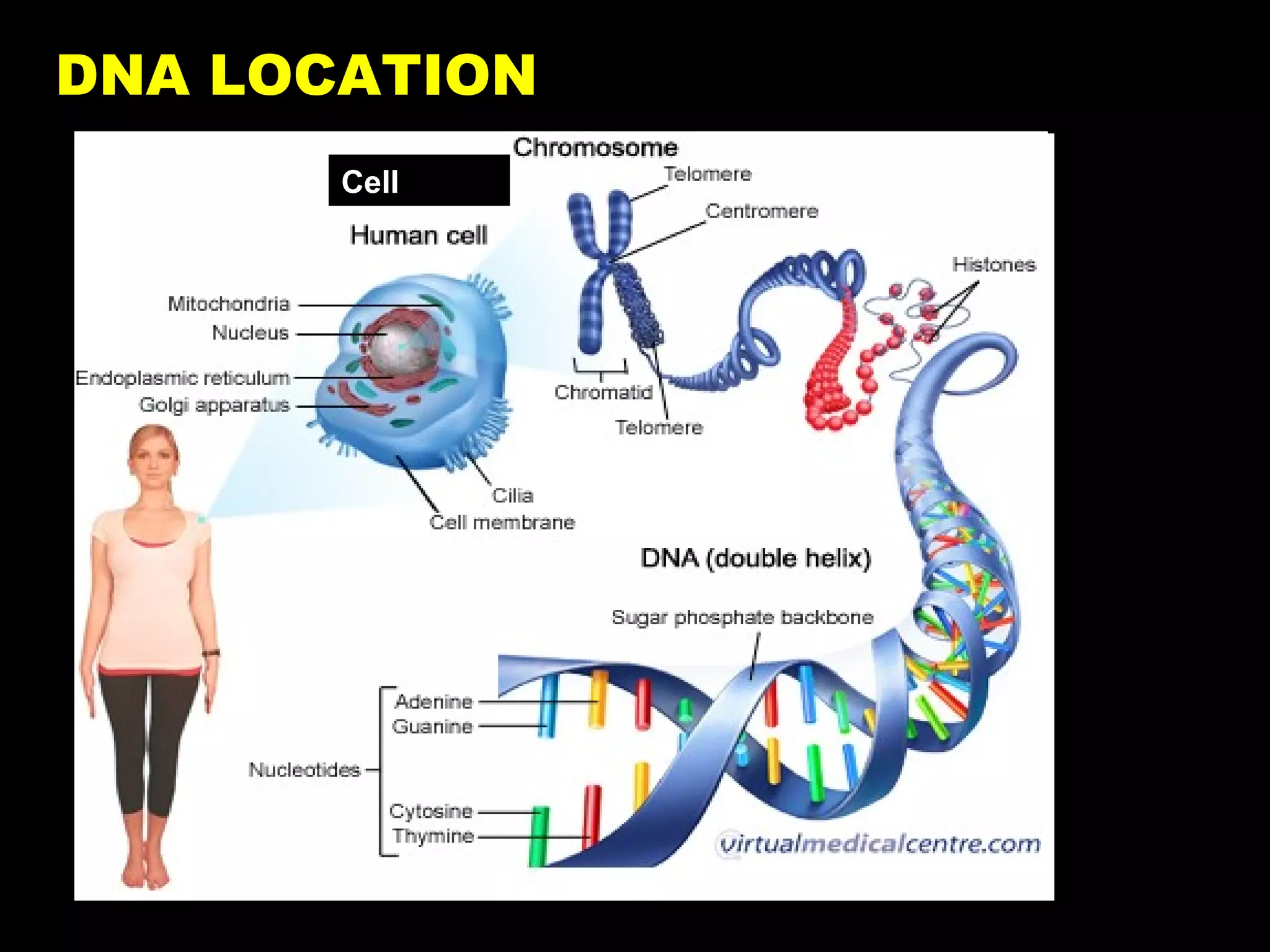 Current Trends in Molecular Biology and BioTechnology (ppt) | PPT