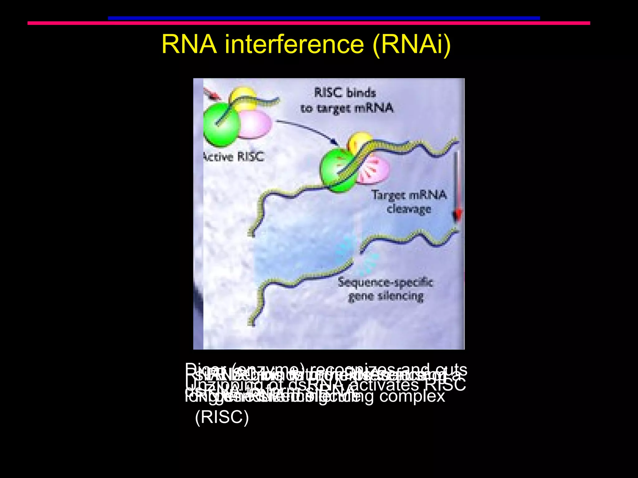 Current Trends in Molecular Biology and BioTechnology (ppt) | PPT