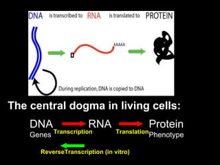 Current Trends in Molecular Biology and BioTechnology (ppt) | PPT